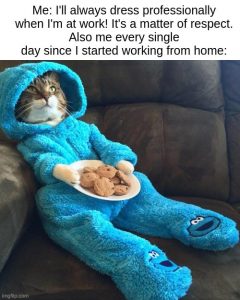 70+ Best work from home memes - Pumble