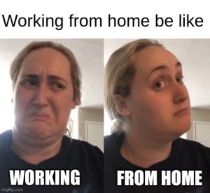 70+ Best work from home memes - Pumble