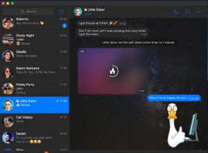 20 Best and Most Popular Discord Alternatives for 2024